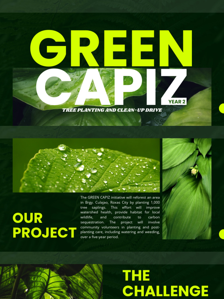 Green Capiz Year 2 Primer | PDF | Trees | Volunteering