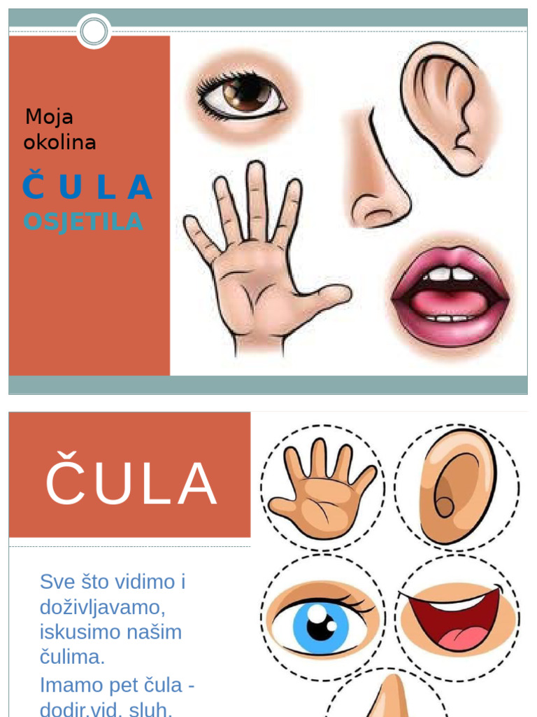 Cula | PDF