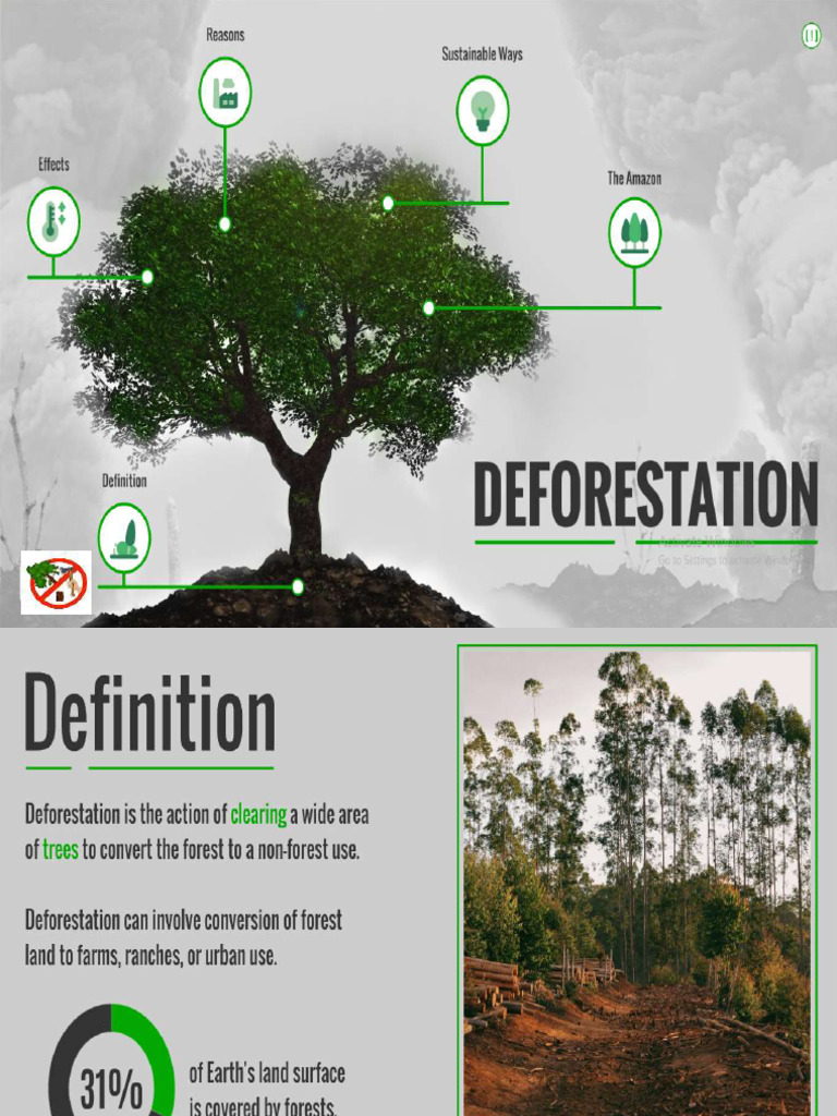 Deforestation PDF | PDF