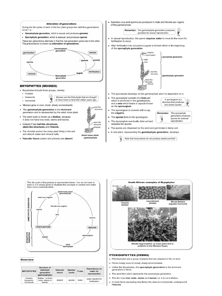 -grade11 life scince notes | PDF