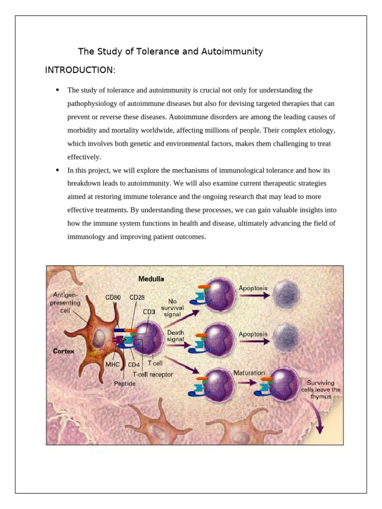 The Study of Tolerance and Autoimmunity | PDF | Immune Tolerance | T Cell