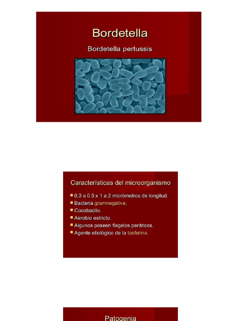 Bordetella | PDF
