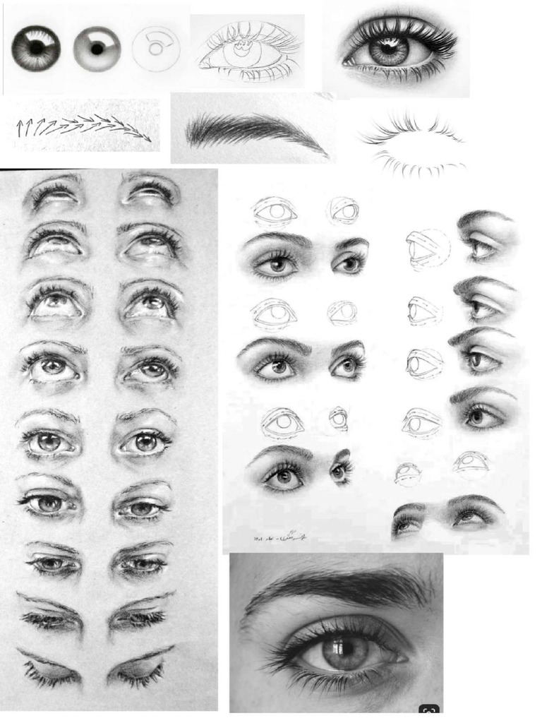 Facial Features | PDF