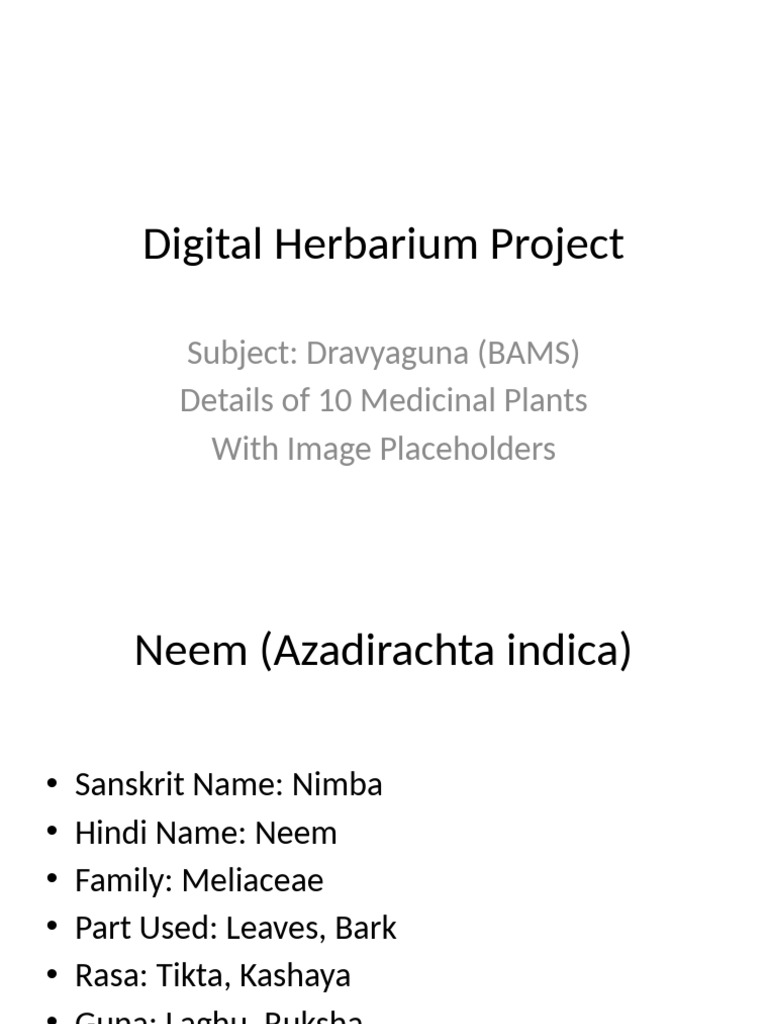 Digital Herbarium 10 Plants | PDF
