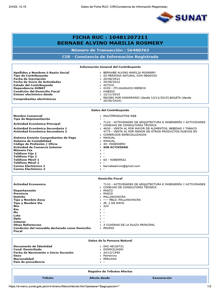 Ficha Ruc Rosmery Bernabe | PDF