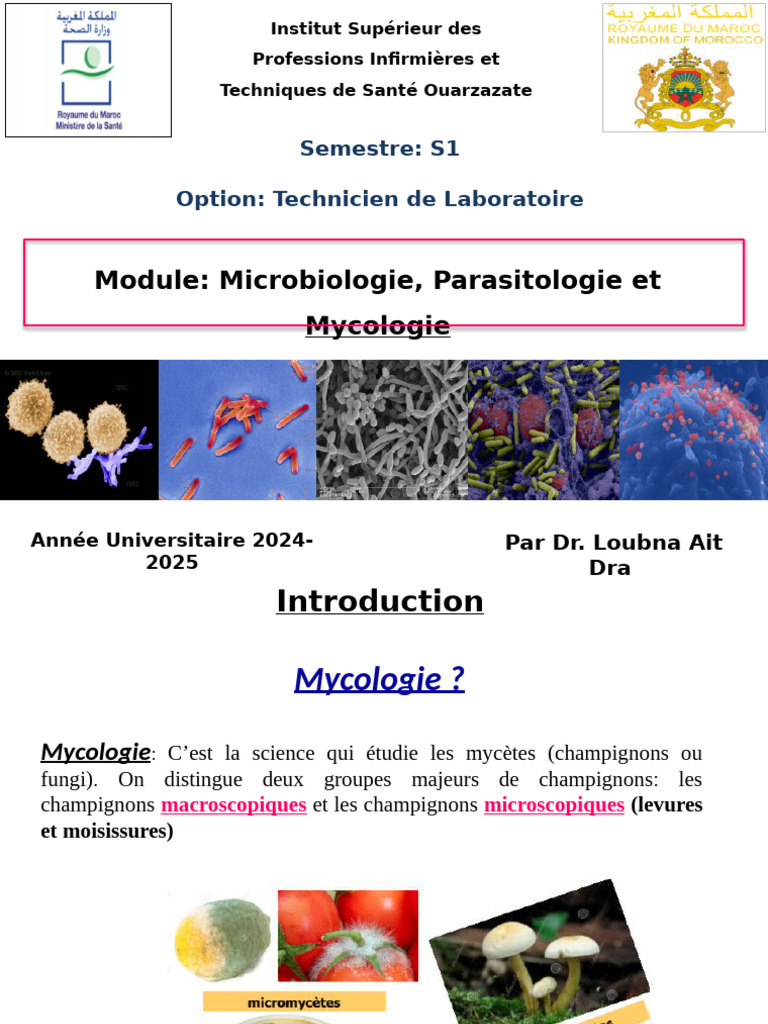 Cours Mycologie | PDF | Cellule (Biologie) | Champignons