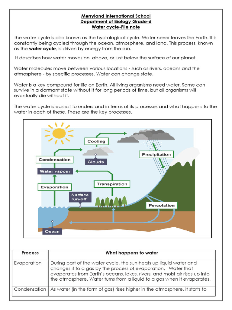 GR 6 Water Cycle File Note Edited | PDF | Water Cycle | Water