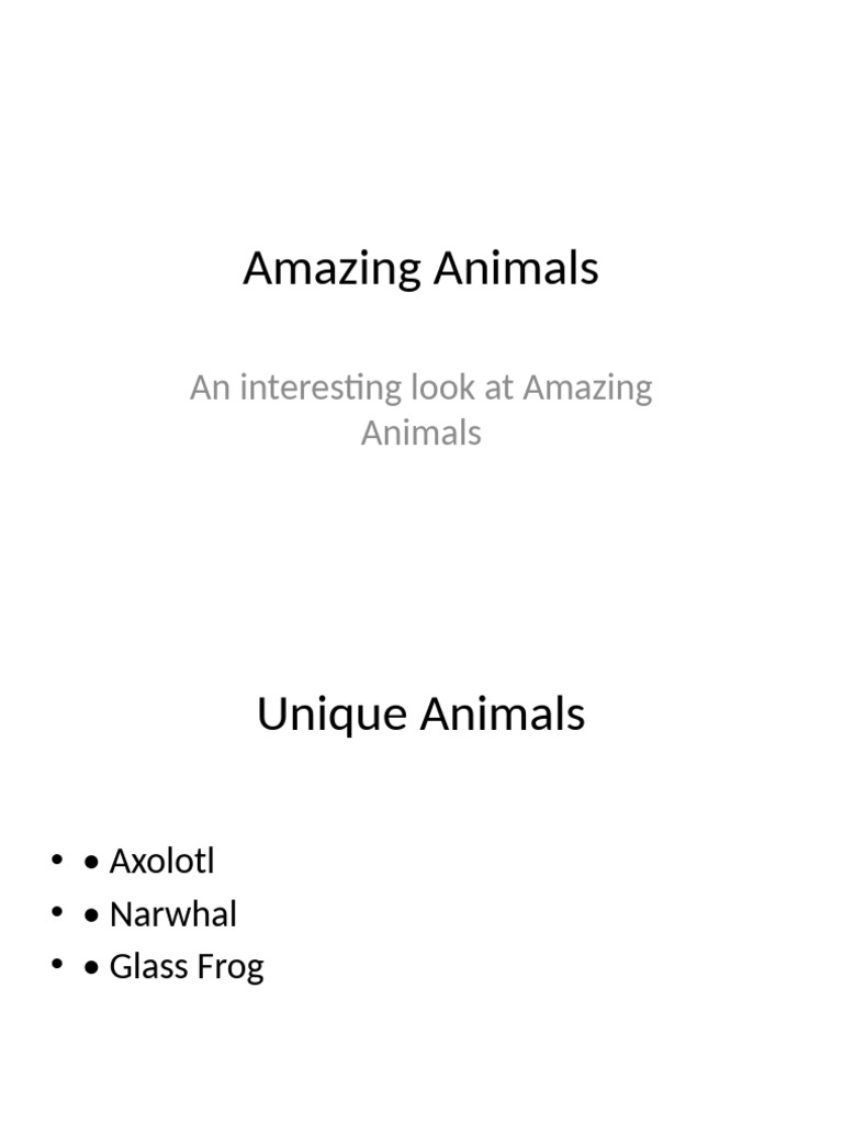 Amazing Animals | PDF