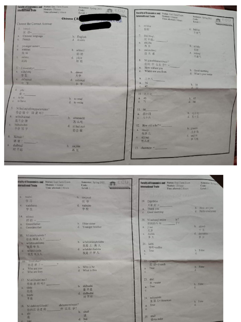 Chinese Final Exam | PDF