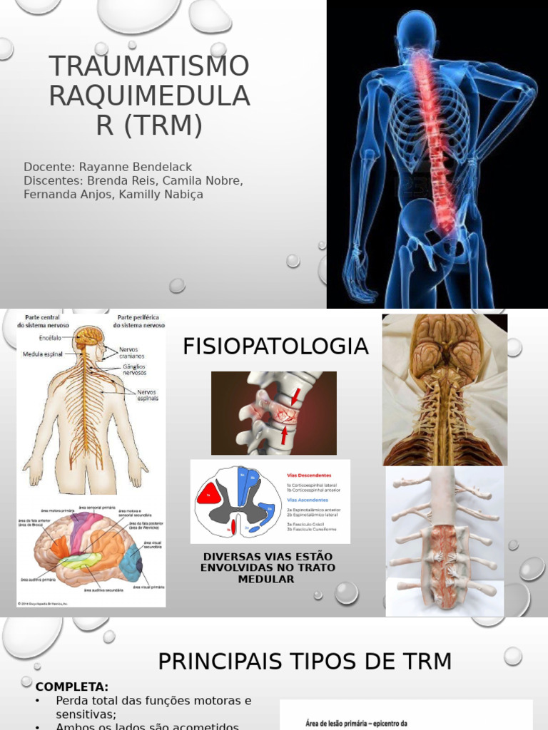 TRAUMATISMO RAQUIMEDULAR (TRM) | PDF | Especialidades médicas | Sistema nervoso