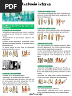 Anatomia do Dente 27: Molar Superior | PDF | Raiz | Dente