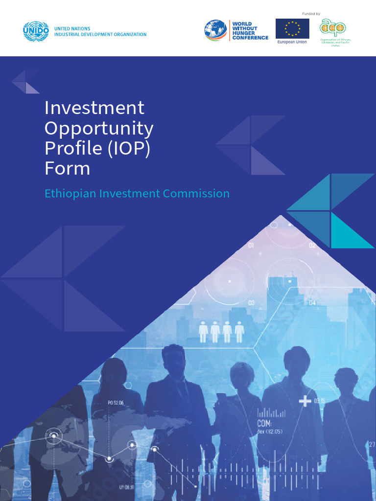 Iop Form Blank WWHC | PDF | Equity (Finance) | Exports