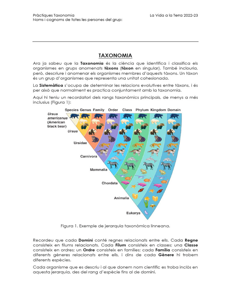 Exercici taxonomia_v2 | PDF