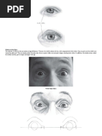 Assemble a Paper Eye Model | PDF | Human Eye | Cornea