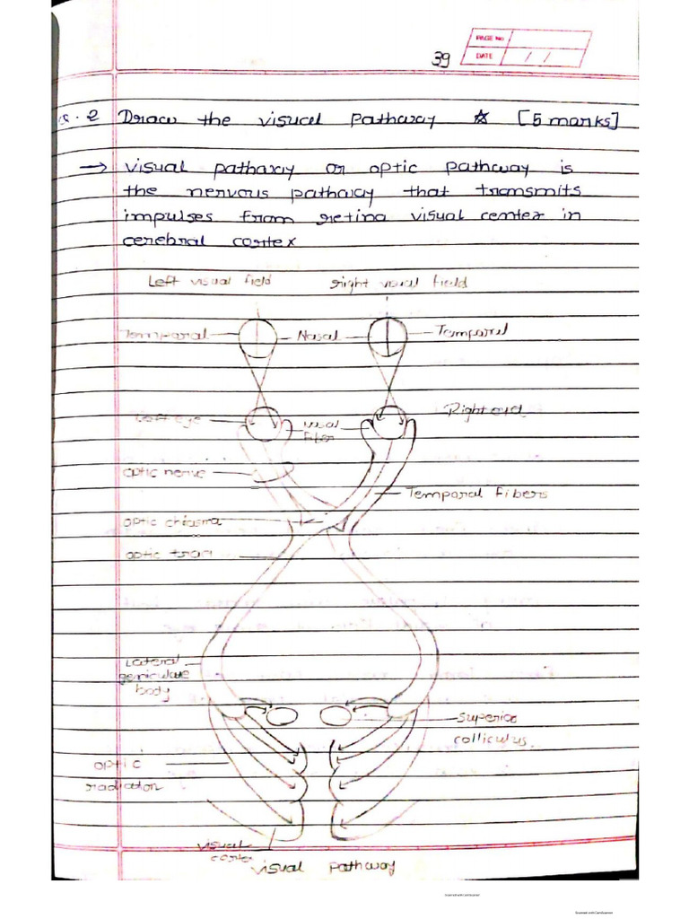 Neurology and PT Neuro Part-1 | PDF