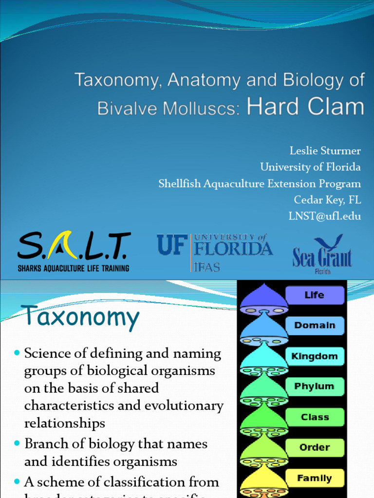 Activtiy Powerpoint Molluscan-Shellfish-Aquaculture | PDF | Bivalvia ...
