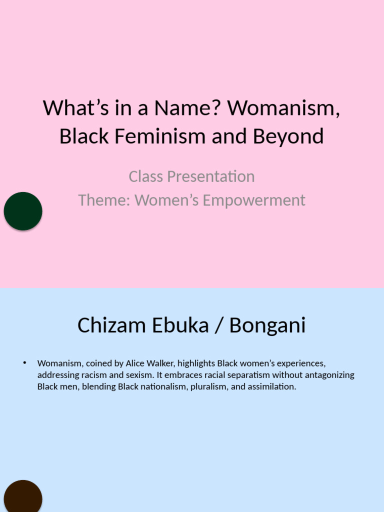 Womanism and Black Feminism Explained | PDF