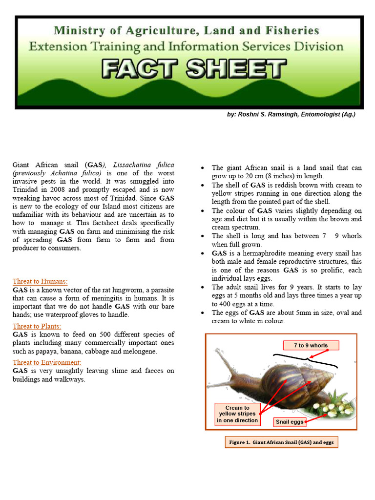 Letter Manging GAS On The Farm Factsheet Revised October 2020 | PDF ...