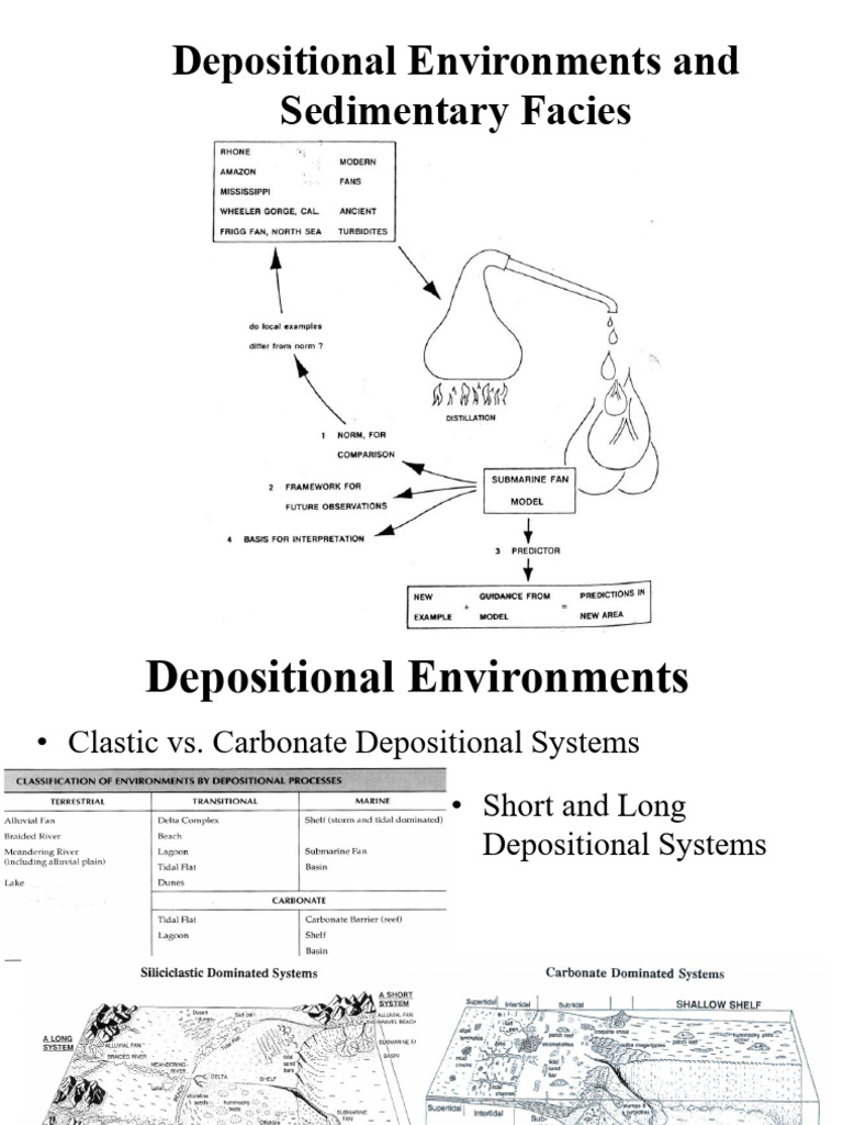 Sedimentary Environments | PDF | Sedimentary Rock | Seabed