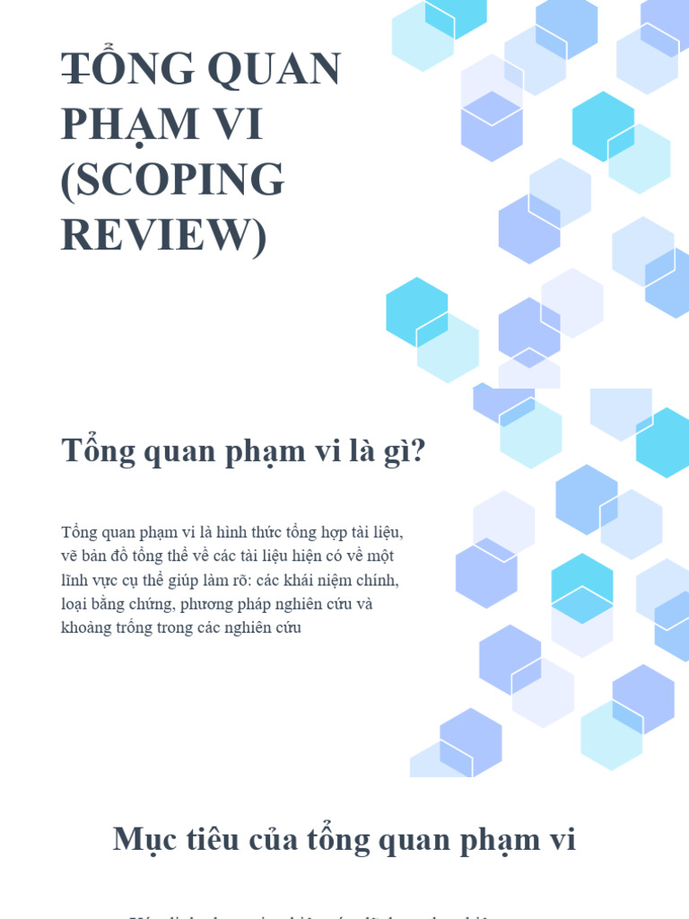T NG Quan PH M Vi | PDF