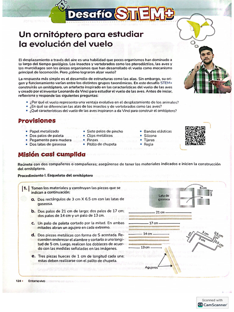 Desafío Stem - Ornitoptero | PDF