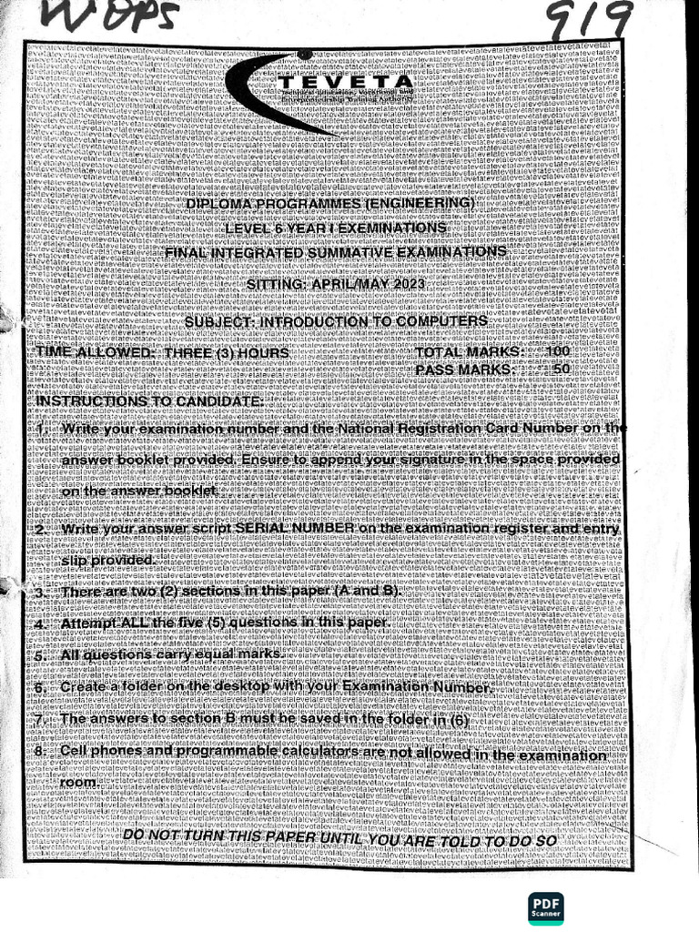 Computer Application Exam Papers 17 | PDF