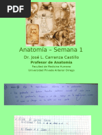 Anatomía en la Antigua India: Orígenes | PDF | Anatomía | Riñón