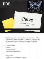 Anatomia da Pelve: Ossos e Articulações | PDF | Pélvis | Coluna vertebral
