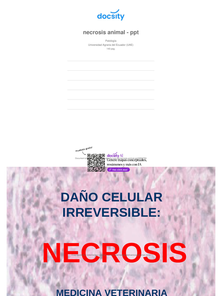 Necrosis Animal | PDF | Apoptosis | Nucleo celular