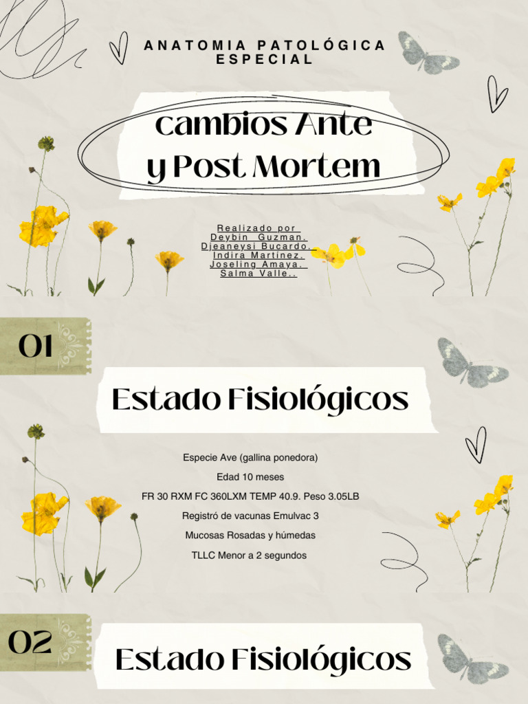 Ante y Post PDF | PDF