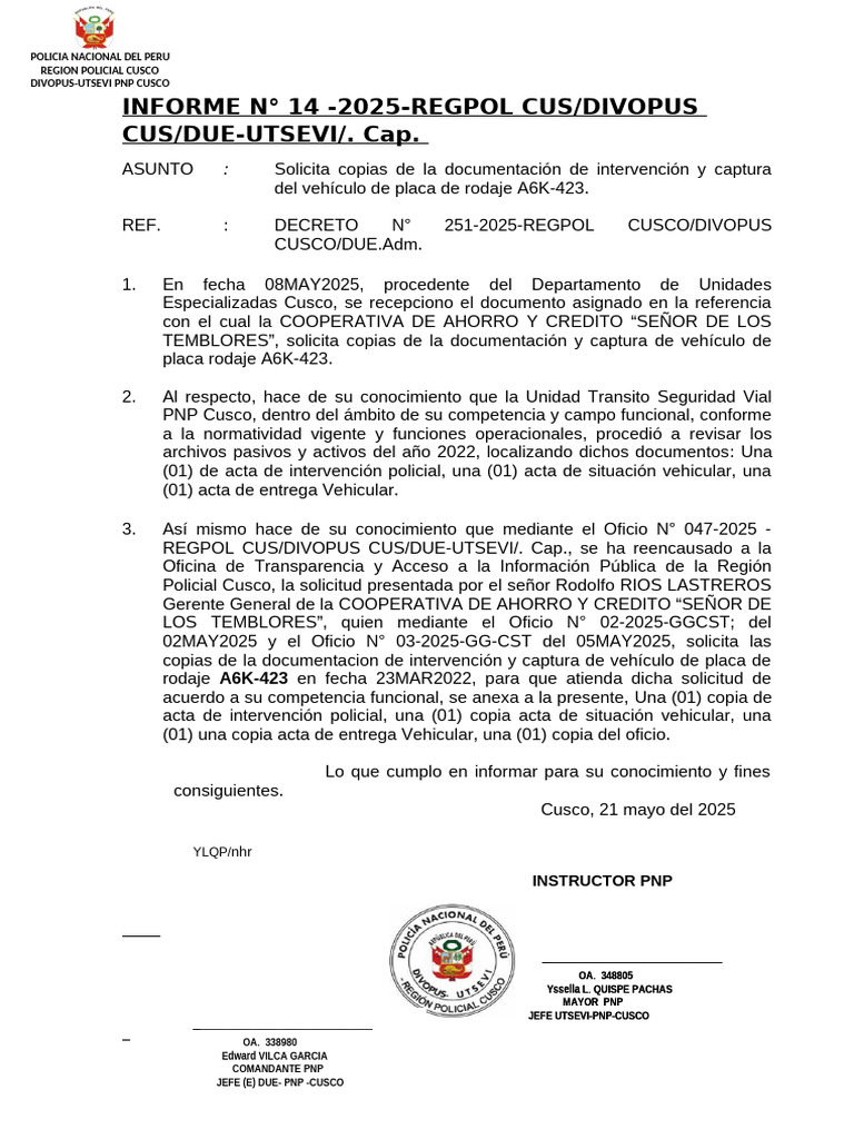 Informe Tecnico PNP | PDF | Policía | Perú