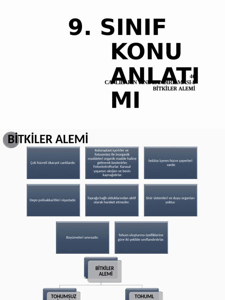 46 Canlıların Sınıflandırılması 8 Bitkiler Alemi | PDF