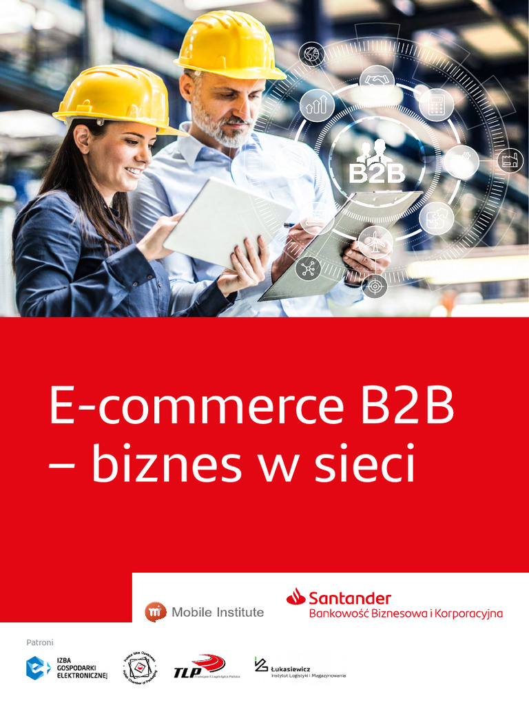 ECommerce-B2B - Biznes W Sieci | PDF
