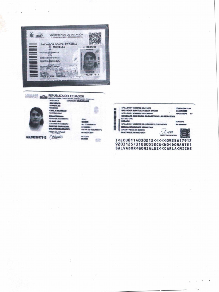 Un Botón A Color Símplex A PDF de Imágenes - 1 - 20250516102720279 | PDF