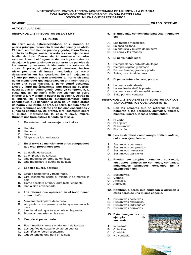 Examen de Castellano Grado Sexto | PDF | Sustantivo | Lingüística