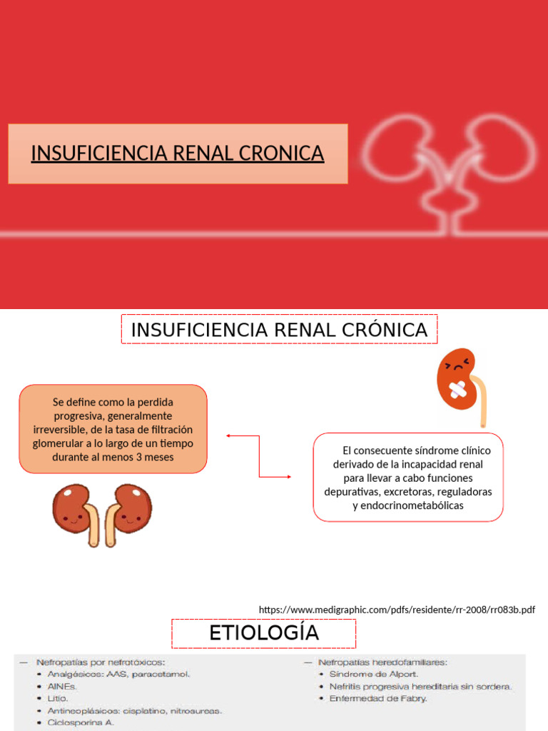 Insuficiencia Renal Crónica: Diagnóstico y Tratamiento | PDF ...