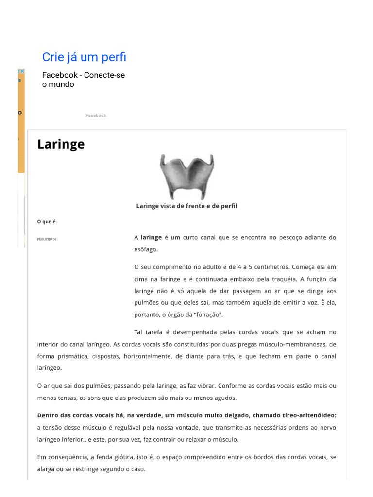 Anatomia e Função da Laringe | PDF | Laringe | Anatomia humana