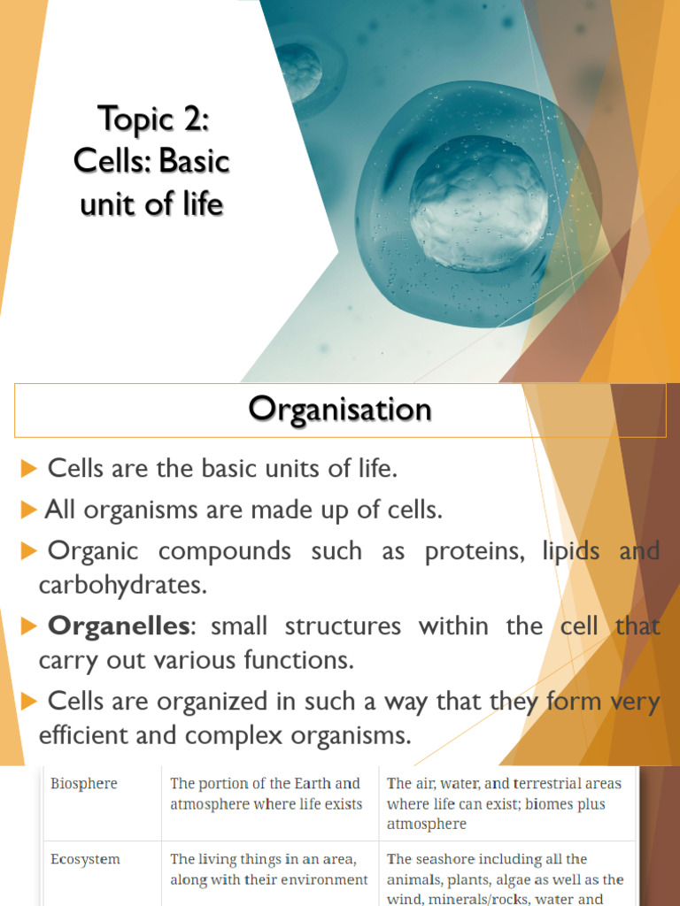 Cells: The Fundamental Unit of Life | PDF | Chloroplast | Endoplasmic ...