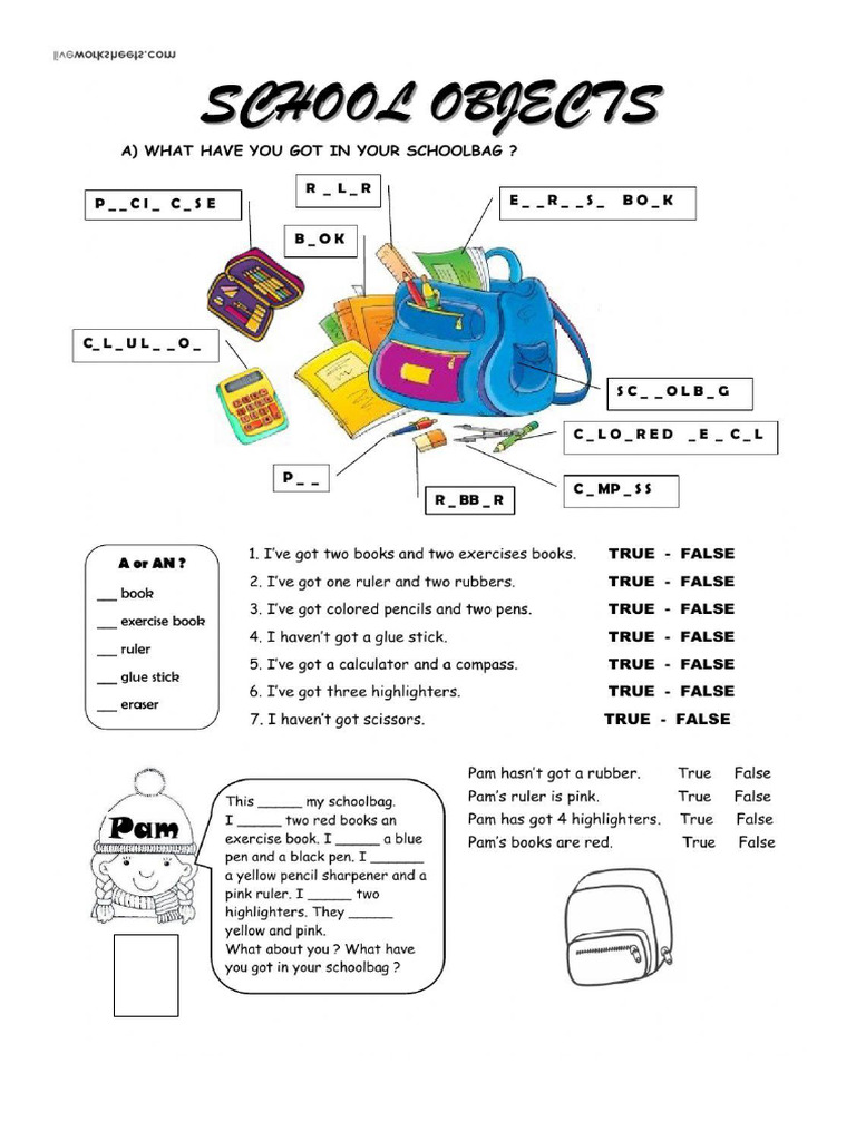 Have Got - Has Got - School Objects | PDF