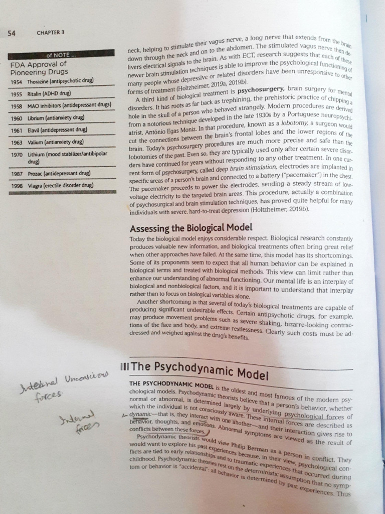 The Psychodynamic Model | PDF