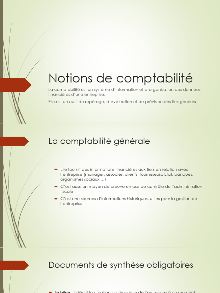 Notions de base en comptabilité | PDF | Bilan comptable | Capitaux propres