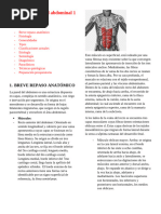 La Fascia Transversalis | PDF | Abdomen | Sistema musculoesquelético