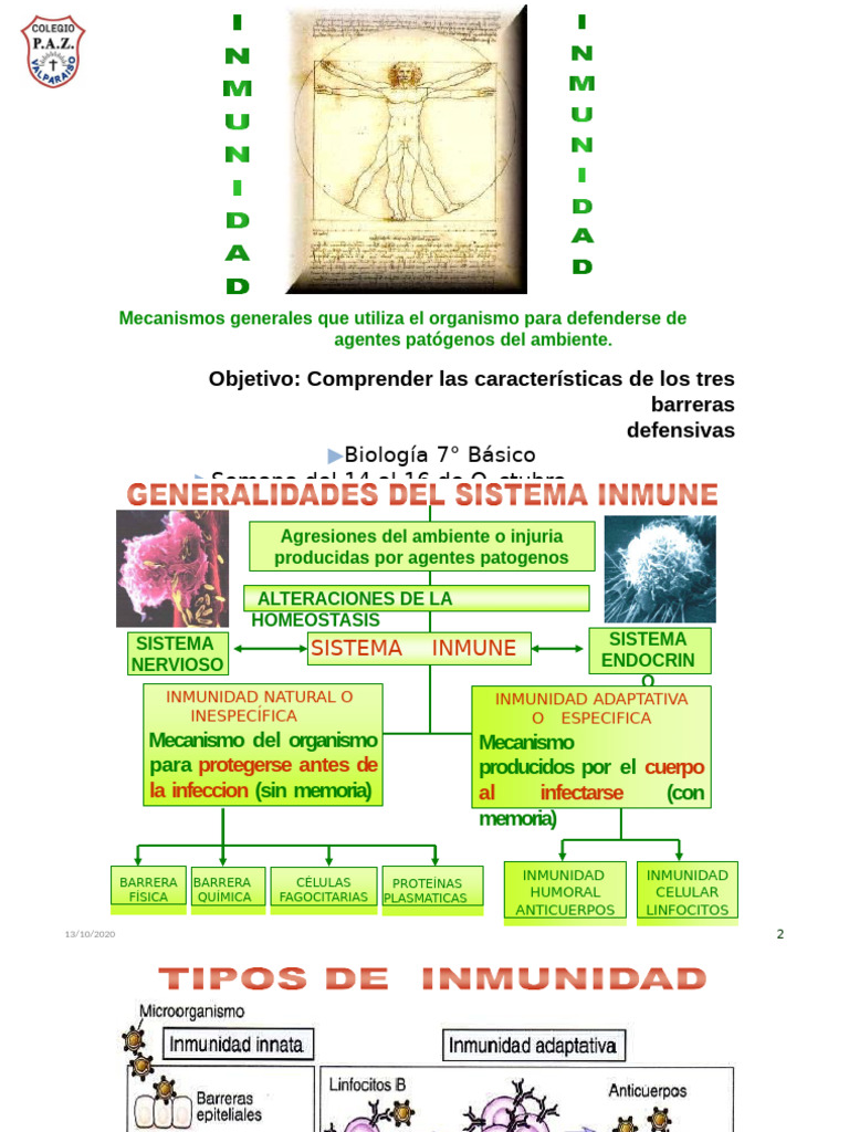 Sistema - Inmune 7mo | PDF | Sistema inmune | Linfocitos