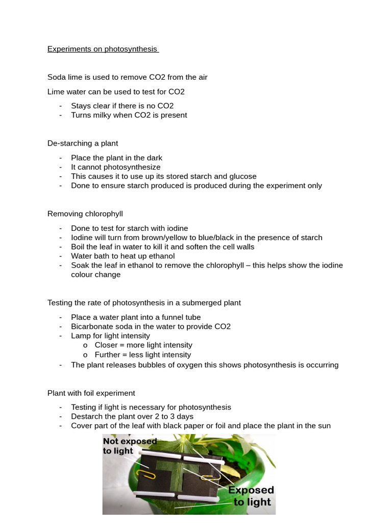 Photosynthesis Experiments Overview | PDF