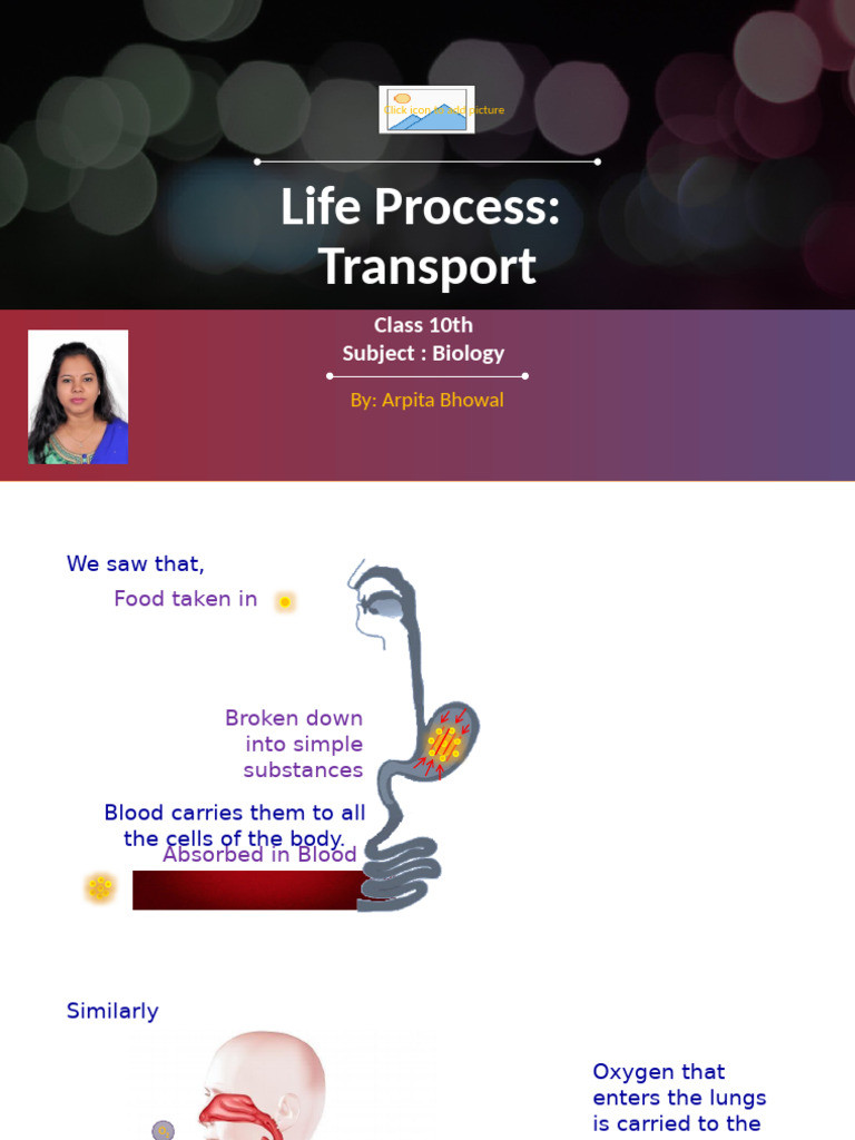 3.life Process - Transport | PDF | Circulatory System | Atrium (Heart)
