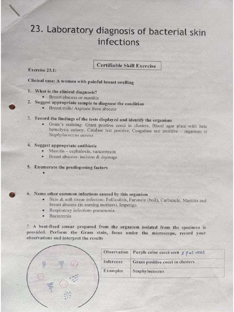 Micro Journal 23 | PDF