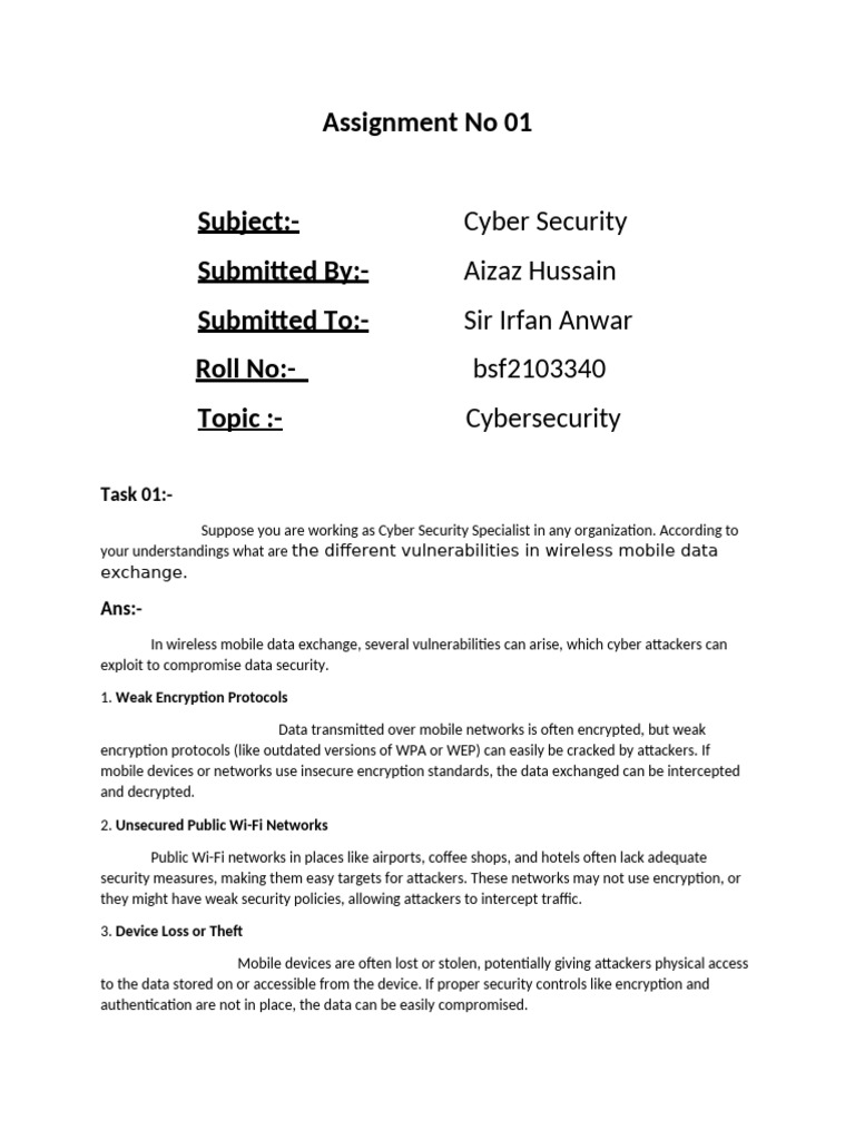 Cyber Security Assignmet | PDF | Computer Security | Security