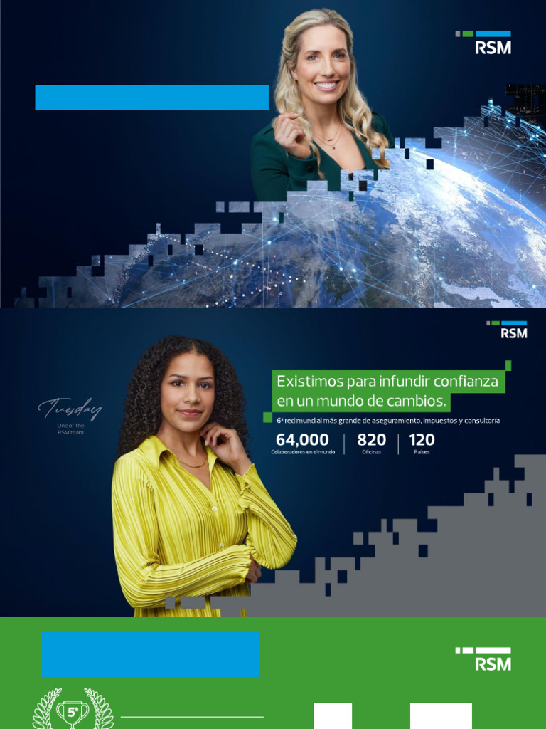 RSM Mexico Merida Cancun 2025 Servicios V0 | PDF | Auditoría | Software