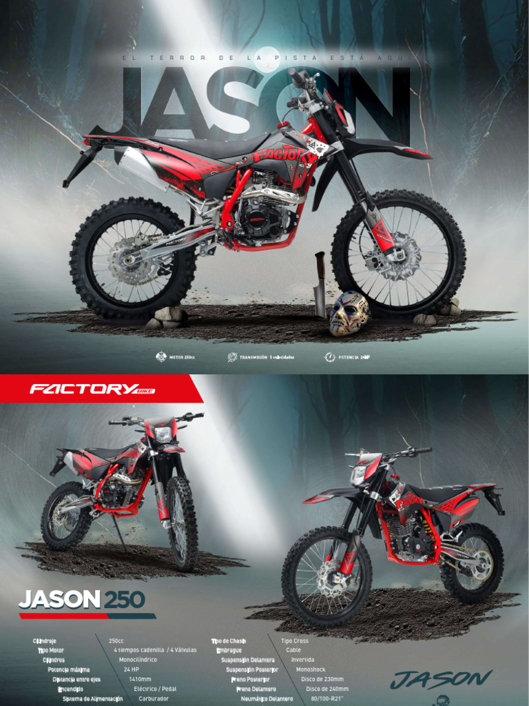 Especificaciones de la Moto JASON250 | PDF