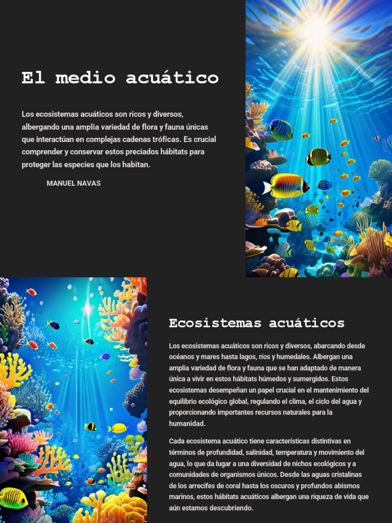 Importancia y conservación del medio acuático | PDF | Ecosistema | Agua